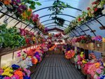 Искусственные цветы (Nevelskaya ulitsa No:3), yapay bitki ve çiçek  Orenburg'dan