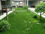 Gazonuz.uz (No:4B, Shaykhantahur District, Karatash Residential Area), bahçe ekipmanları ve teknolojileri  Taşkent'ten