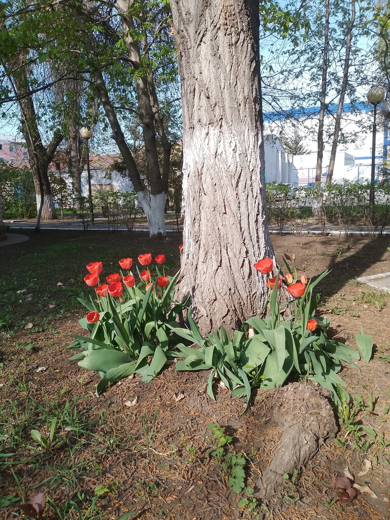 Askeri hastaneler Госпиталь МВД России, Saratov, foto