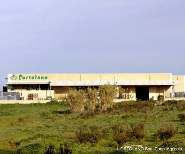 Market L'Ortolano Soc. Coop. Agricola, Sardunya, foto