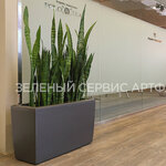 Artflora (Nagorny Drive No:10с3), peyzaj tasarımı  Moskova'dan