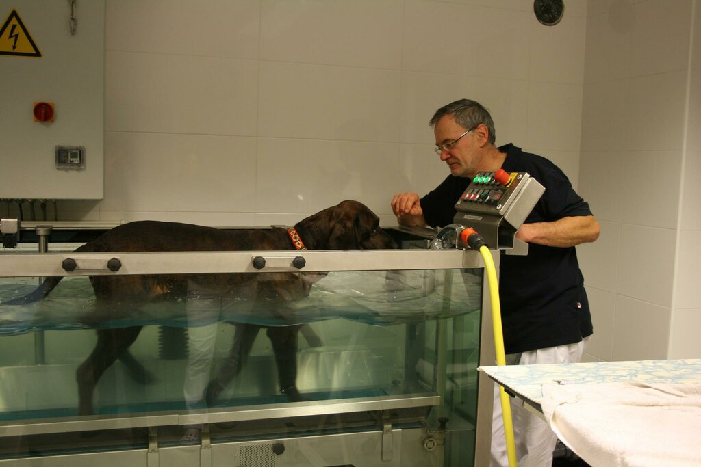 Veteriner klinikleri Tierklinik Steyr - Notdienst, Yukarı Avusturya, foto