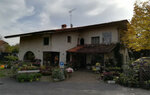 Fioreria Al Podere (Friuli-Venezia Giulia, Provincia di Udine, Via Spilimbergo, 287), çiçek teslimatı  Friuli‑Venezia Giulia'dan