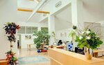 Mag. Fuchs Florian Wirtschaftstreuhand Steuerberatung GmbH (Styria, Feldbach, Bürgergasse, 3), mali müşavir  Steiermark'tan