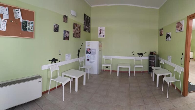 Veteriner klinikleri Ambulatorio Veterinario Amici di Princi, Emilia‑Romagna, foto