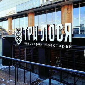 Tri Losya (Karla Marksa Square No:5), restoran  Novosibirsk'ten