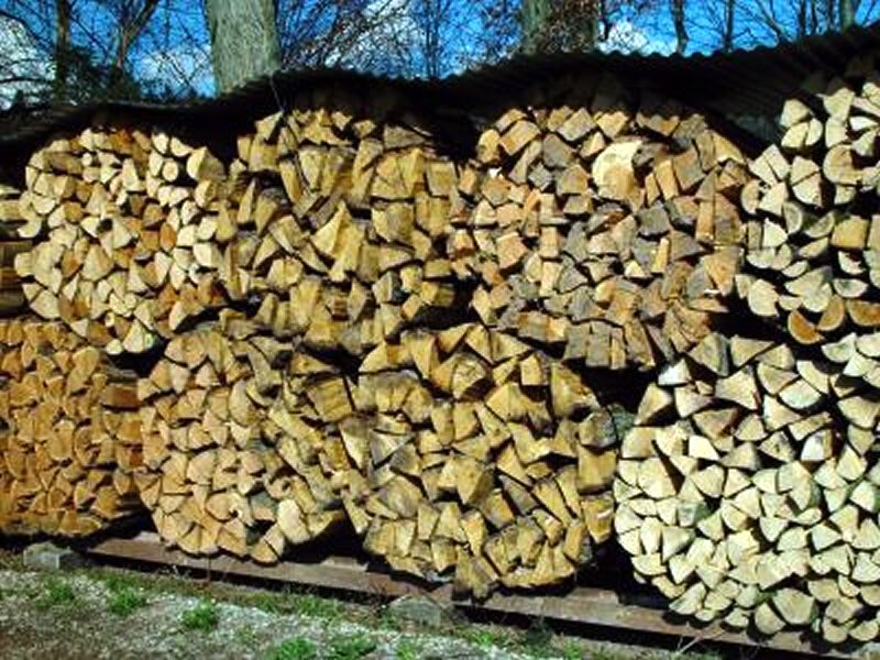 Orman işleri Jürg Hofmann Brennholz und Forstbetrieb, Zürih, foto