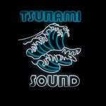 Tsunami sound (Mazita Gafuri Street No:46), ses kayıt stüdyoları  Kazan'dan