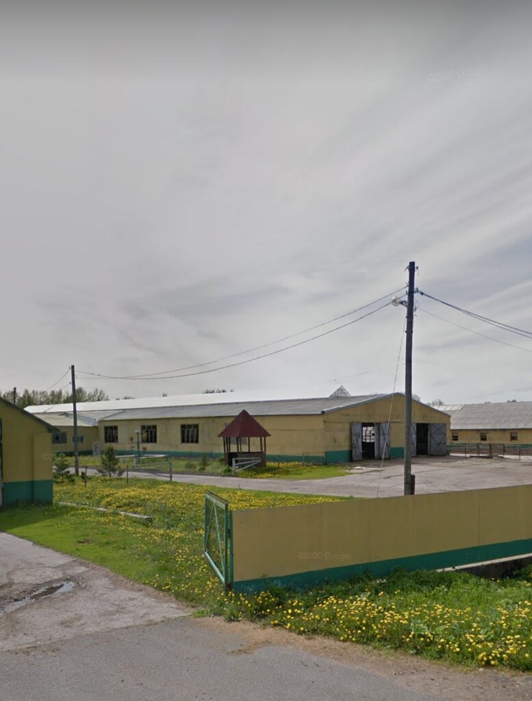 Tarım firmaları Приветнинская ферма, Saint‑Petersburg ve Leningradskaya oblastı, foto