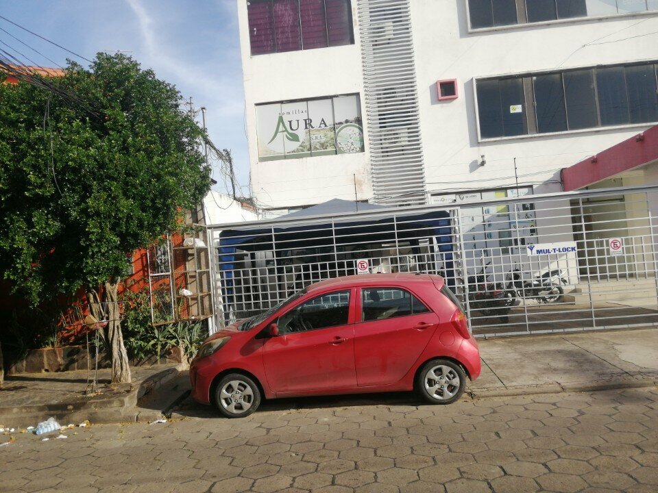 Tarım firmaları Semillas Aura Srl, Santa‑Krus, foto