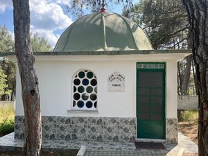 Hıdır Dede Türbesi (Sakarya, Taraklı, Ulucamii Mah.), cami  Taraklı'dan
