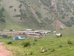 Intensive animal farming (Chuy Region, Alamedinskiy rayon, selo Chunkurchak), hayvancılık  Çuy ili'nden