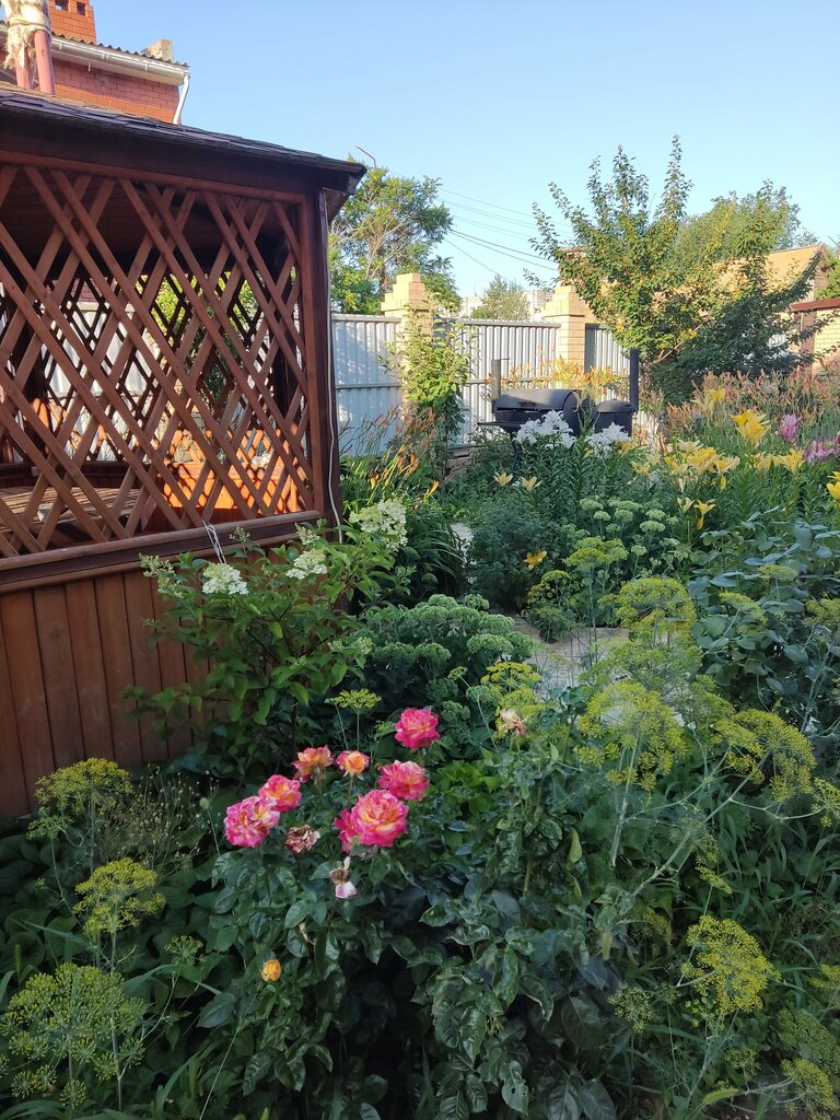Kafe Hotel Magnolia, Astrahanskaya oblastı, foto