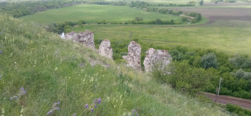 Turistik yerler Маяцкое селище, Voronejskaya oblastı, foto