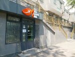 Avia Travel Club (Nasirdin Isanov Street No:102), seyahat acenteleri  Bişkek'ten