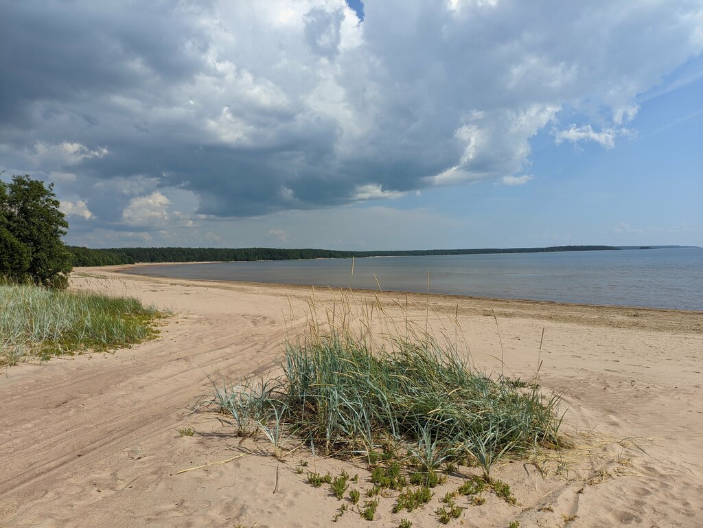 Seyir terası Смотровая площадка, Saint‑Petersburg ve Leningradskaya oblastı, foto