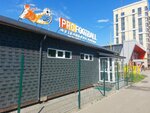 Profootball (Altai Territory, Barnaul, Industrialny rayon), stadyum  Barnaul'dan