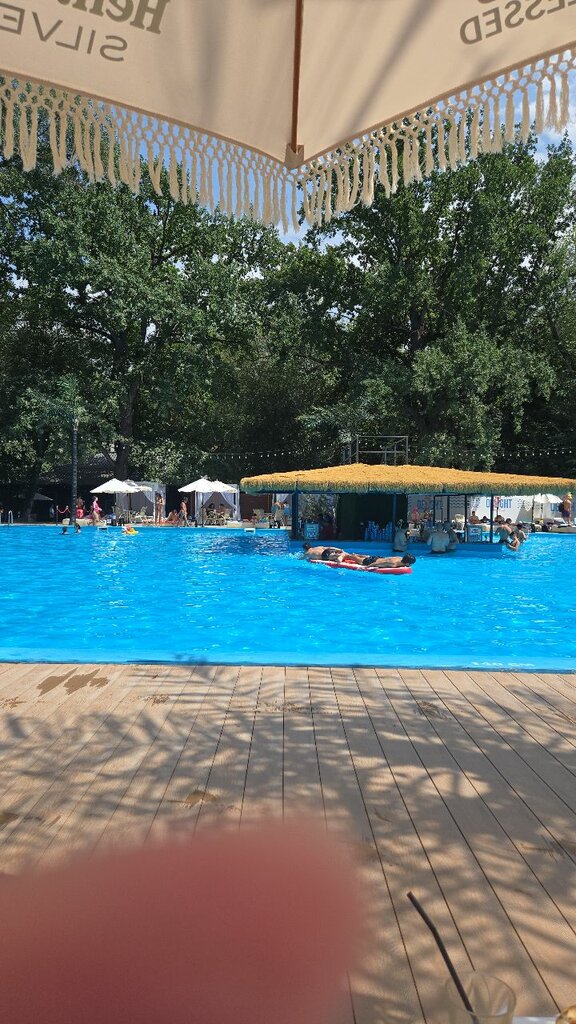 Yüzme havuzları Delight Pool DayClub, Almatı, foto