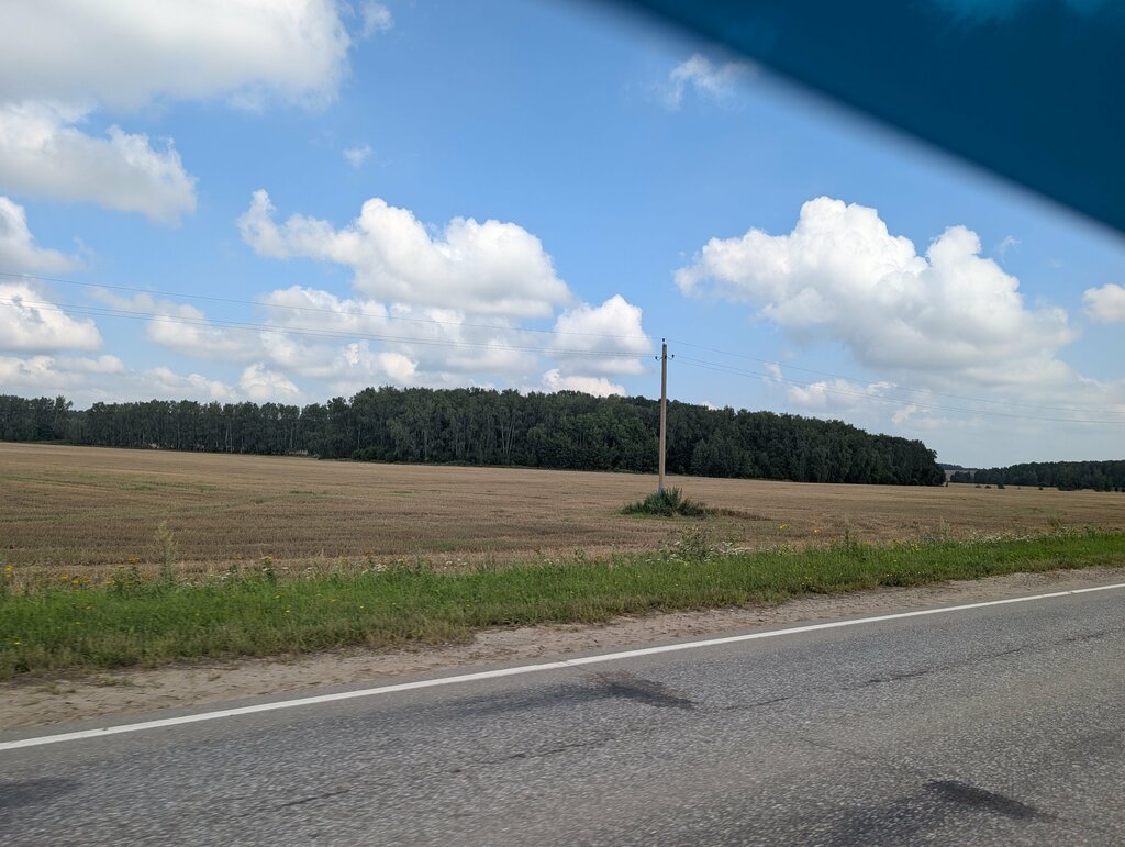 Orman Sholokhov Forest, Moskova ve Moskovskaya oblastı, foto