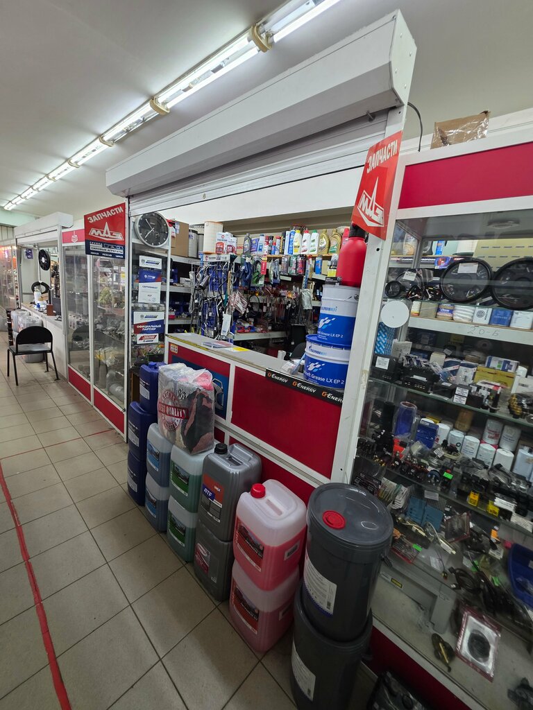 Otomobil yedek parçaları Auto parts and auto supplies store, Moskova ve Moskovskaya oblastı, foto