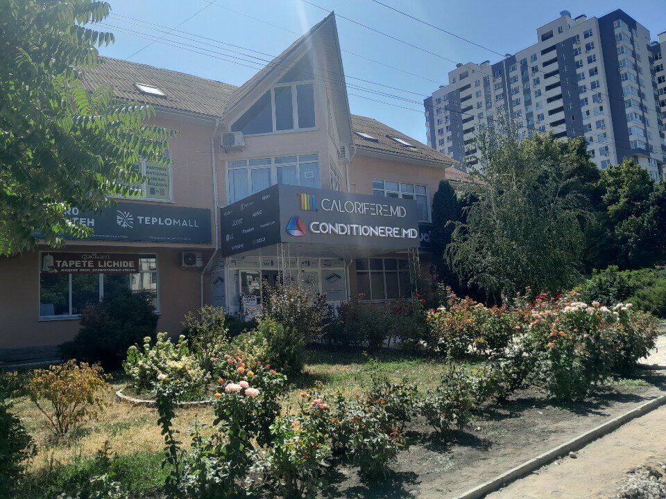Duvar kağıdı mağazaları Excelent Wall, Kişinev, foto