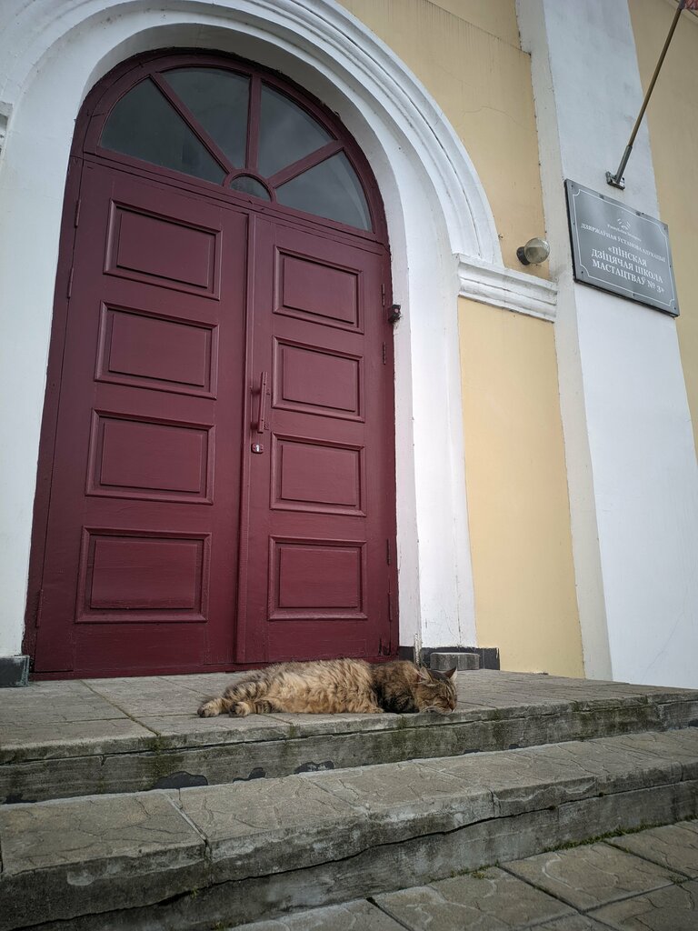 Sanat okulları Хореографическая школа ГУО, Pinsk, foto