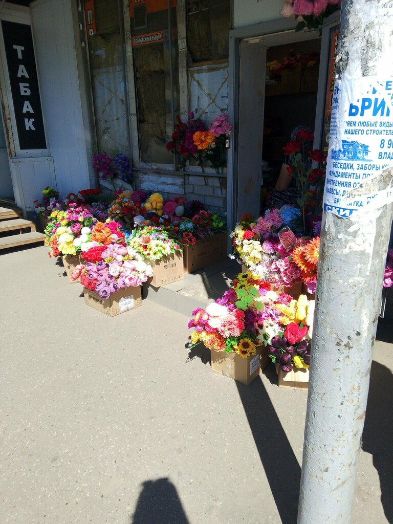 Yapay bitki ve çiçek Цветы, Saratov, foto
