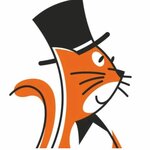 Red Cat Club (Grayvoronovskaya Street No:4), yabancı dil kursları  Moskova'dan