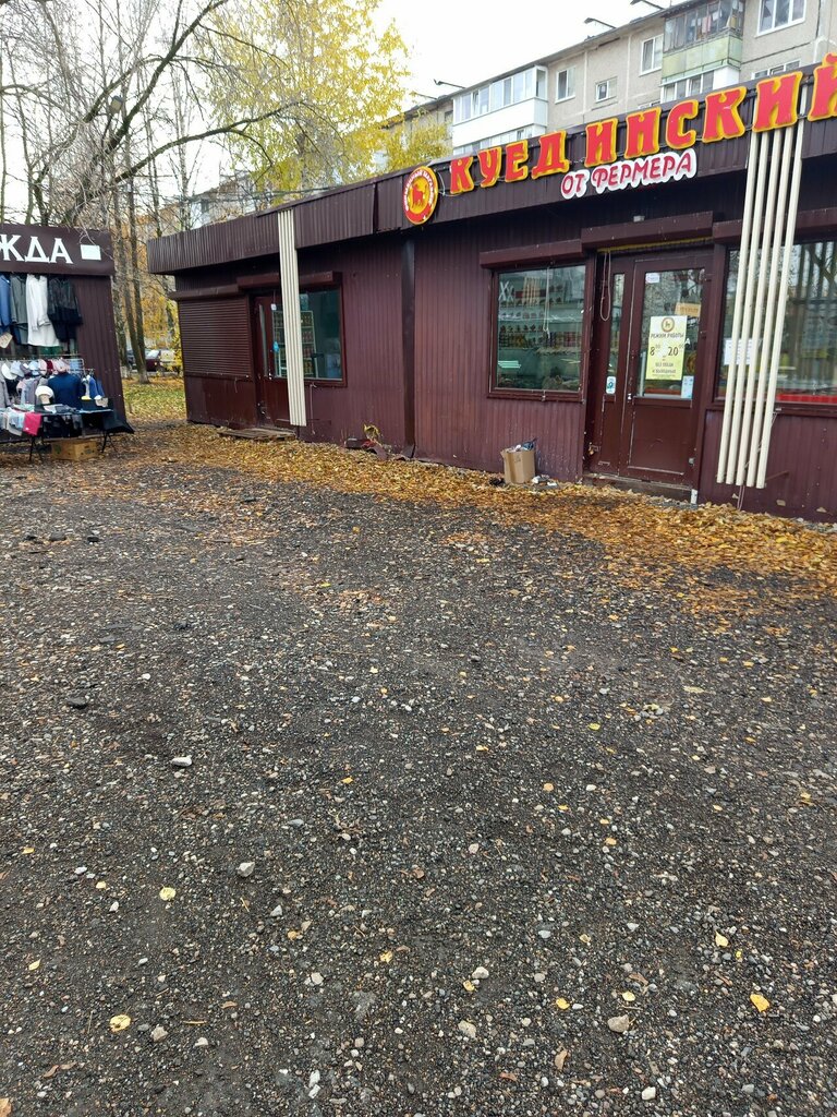 Kanatlı hayvan ürünleri ve yumurta Куединский, Perm, foto