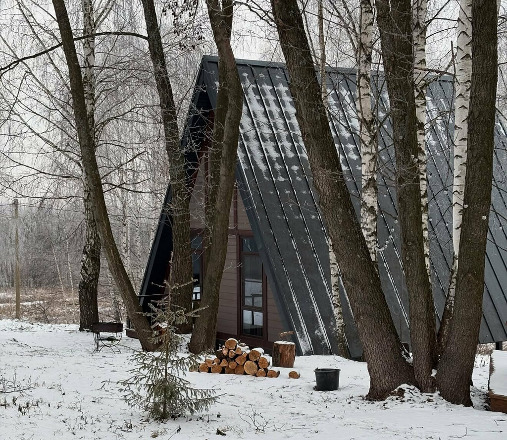 Konuk evi Ekopark Zareche, Riazanskaya oblastı, foto