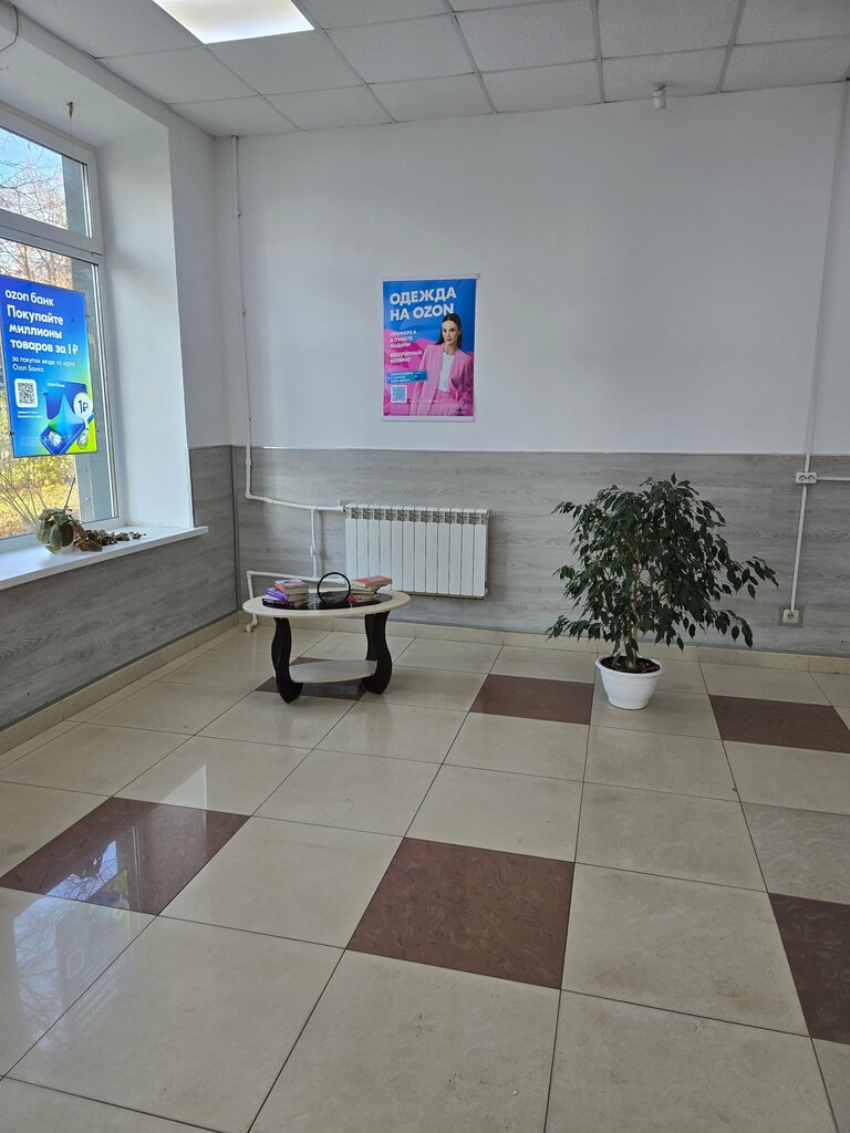 Teslimat noktası Почта России, пункт заказов, Novomoskovsk, foto