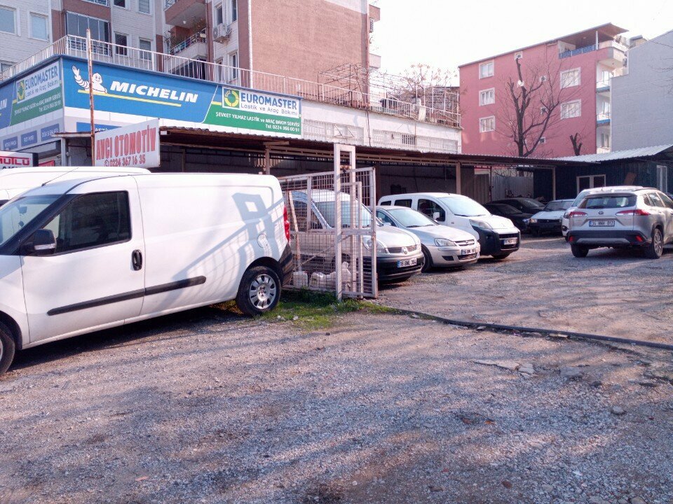 Otomobil satış galerileri Avcı Oto, Bursa, foto
