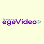 Egevideo (Ordzhonikidze Street No:11с3), kurs  Moskova'dan