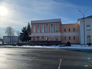 Biblioteka Tsentralnaya Rayonnaya (Krasnaja plošča No:13), kütüphaneler  Vetka'dan