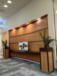 Priority Pass Business Hall (Moscow Region, Domodedovo City District, Domodedovo Airport, 1), salonlar ve bekleme alanları  Moskova ve Moskovskaya oblastından