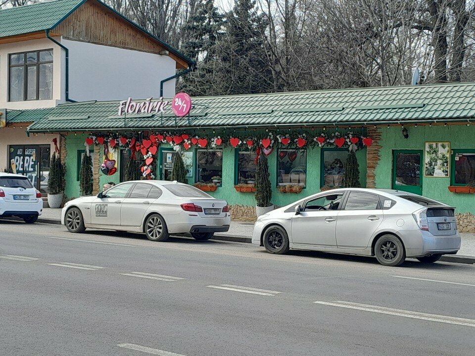 Çiçekçiler Florărie, Kişinev, foto