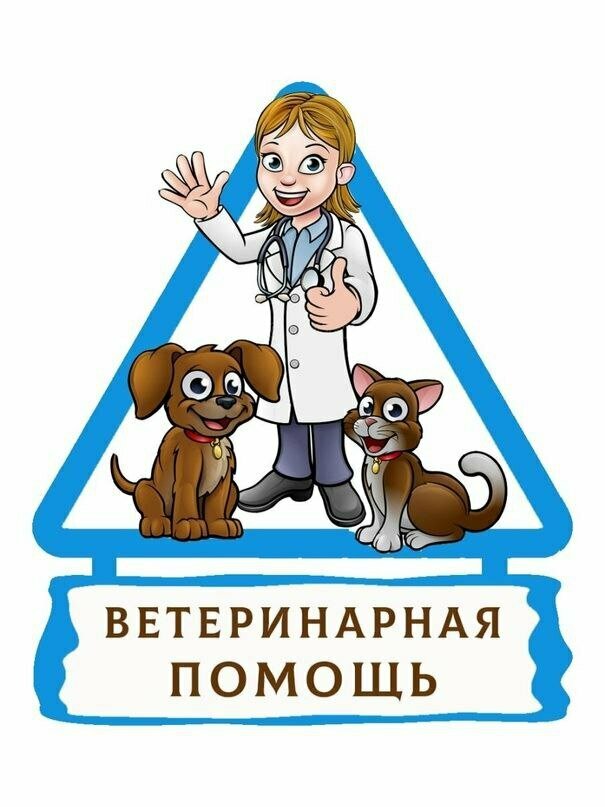 Veteriner klinikleri Мяура 24/7, Moskova, foto