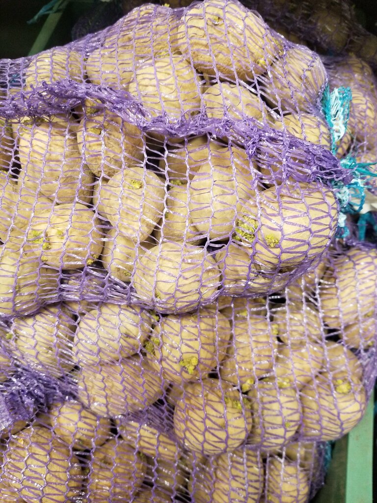 Süpermarket Magnit Moya Tsena, Şuya, foto