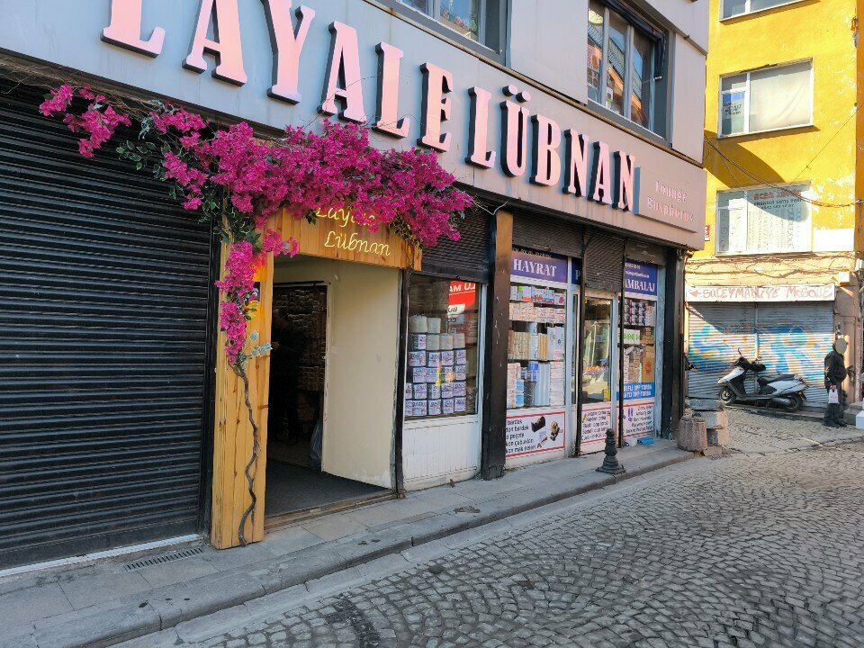 i̇ş merkezi Hacı Veysi Bey İş Hanı, İstanbul, foto
