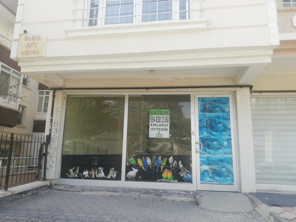 Petshop Eee. petshop, Ankara, foto