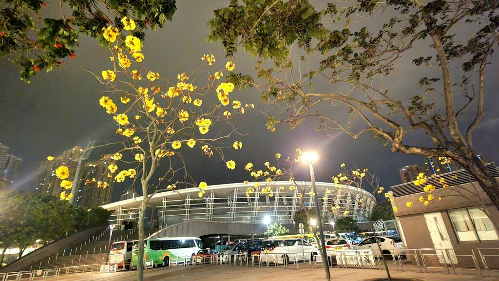 Kültür ve eğlence parkları Hong Kong Velodrome Park, Hong Kong, foto