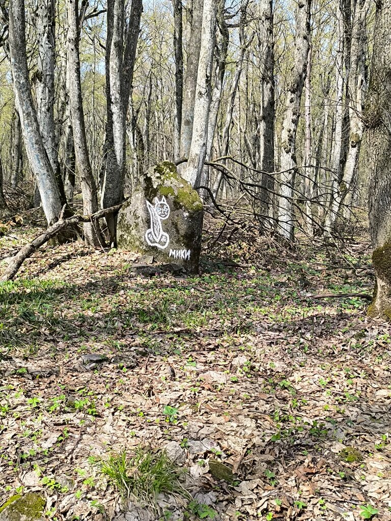 Turistik yerler Кот Микки, Zheleznovodsk, foto
