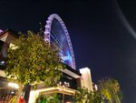 Jbr, Dubai (The Walk, Dubai), emlak ofisi  Dubai'den