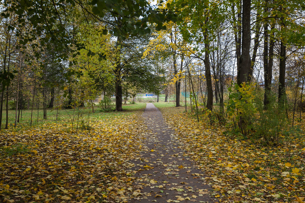 Kültür ve eğlence parkları Кустовский парк, Rybinsk, foto