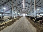 Совхоз Маяк (Gorodskaya ulitsa No:34, posyolok Ladva), tarım firmaları  Karelya Cumhuriyeti'nden