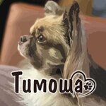 Тимоша (Revyakinskiy pereulok No:38), pet otel  Dmitrov'dan