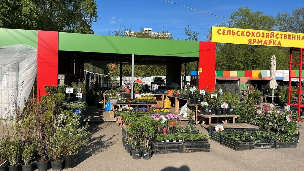 Çiçek pazarı Flower patio, Naro‑Fominsk, foto