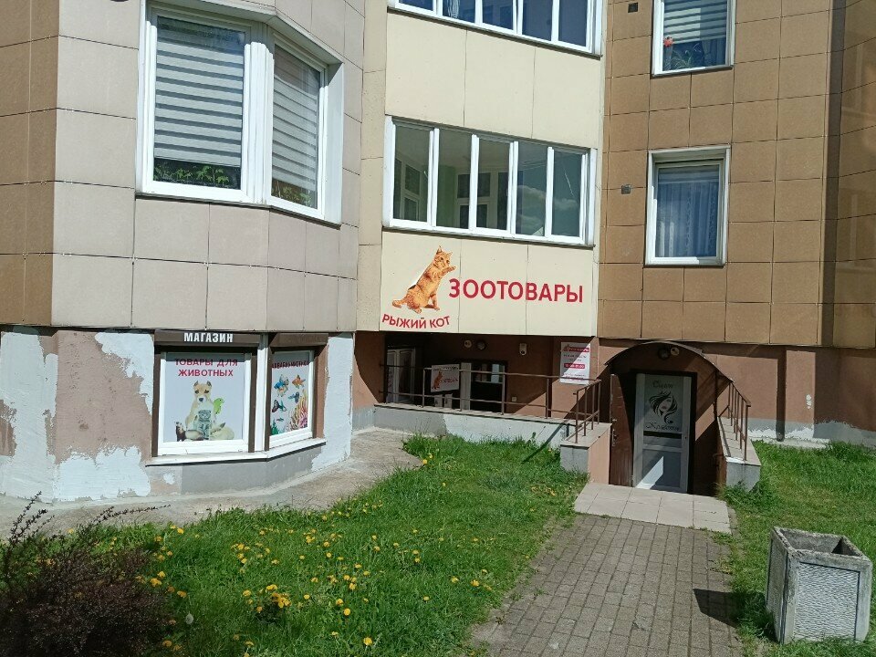 Petshop Рыжий Кот, Kaliningrad, foto