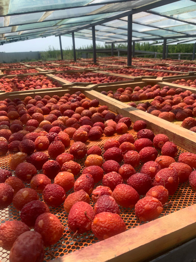 Tarım ürünleri firmaları Mevian, Armavir, foto