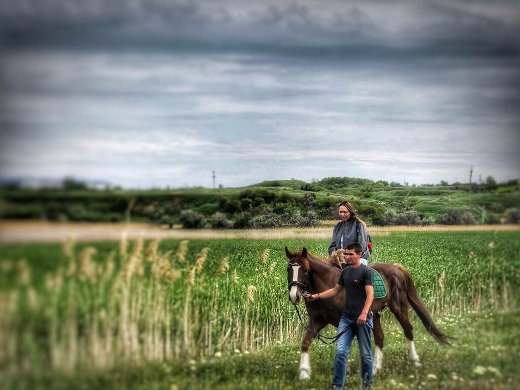 At ve binicilik kulüpleri Добрый конь, Rostovskaya oblastı, foto